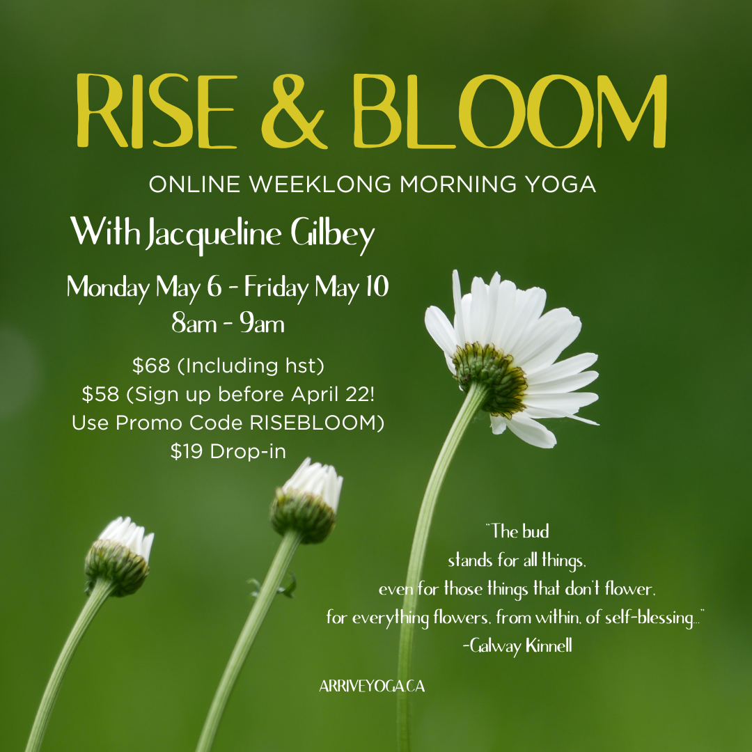 Classes & Schedule | Arrive Yoga